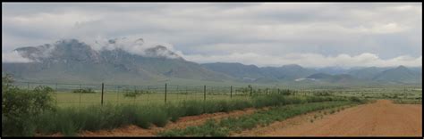 Big Bend 12 19 June 2021 A Stop At Chaparral Wma