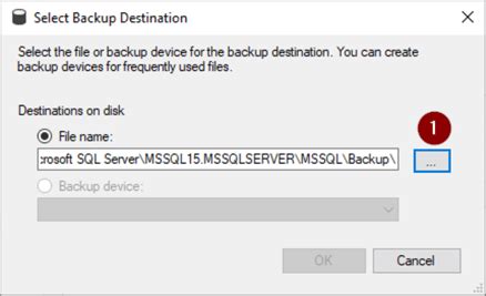 Backup SQL Database Code And SSMS Examples
