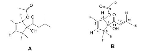 Structures Of A And B Download Scientific Diagram