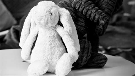Algorithms And Soft Toys — Unplugged Tots