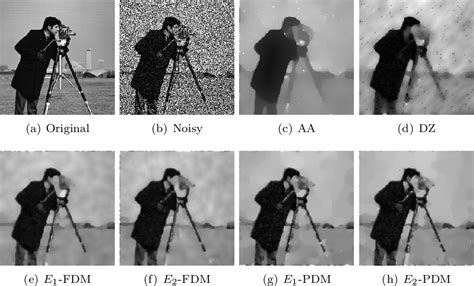 Figure 3 From An Adaptive Total Variational Despeckling Model Based On Gray Level Indicator