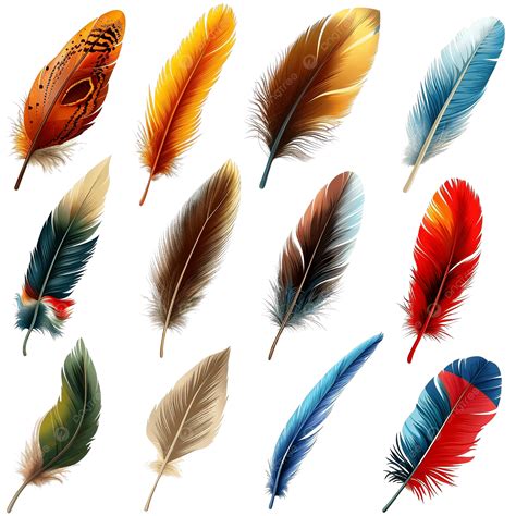 깃털 현실적인 세트 빛나는 세련된 설계 Png 일러스트 및 이미지 에 대한 무료 다운로드 Pngtree