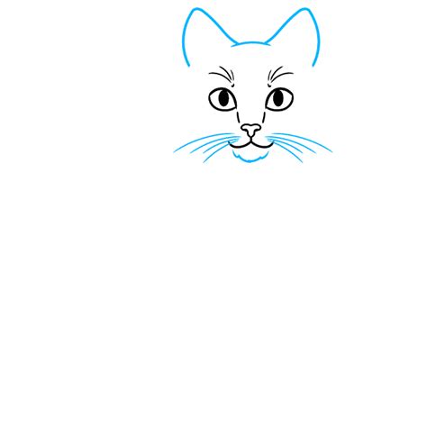 How To Draw A Realistic Cat Really Easy Drawing Tutorial