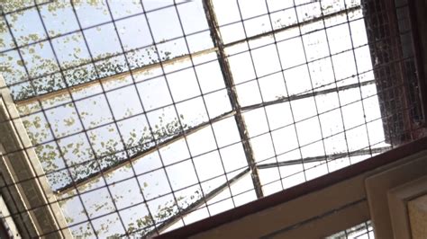 Assault Screaming And Sensory Overload Inside Hmp Elmley Where Every Day Is Unpredictable