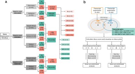 dataset cohorts and concordance analysis design a three publicly