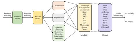 新加坡国立最新《transformer医学图像分析》综述，33页pdf概述医学图像分类分割技术 智源社区
