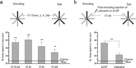Spatial Recognition Memory Testing In A Modified Version Of The Y Maze Download Scientific