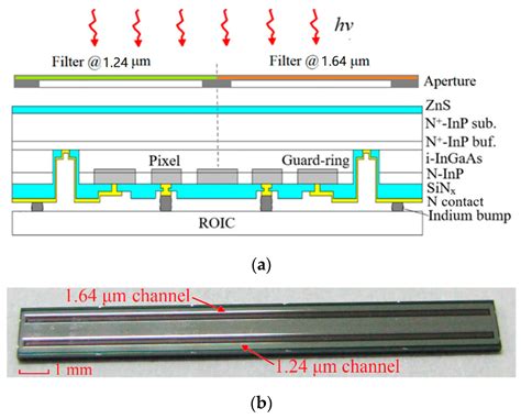 Performance Of Dual Band Short Wave Infrared Ingaas Focal Plane Arrays