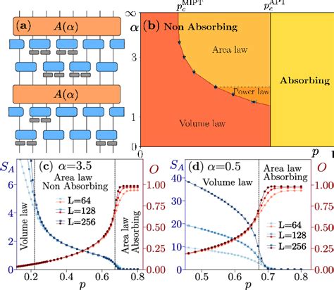 Figure 1 From Controlling Entanglement At Absorbing State Phase Transitions In Random Circuits