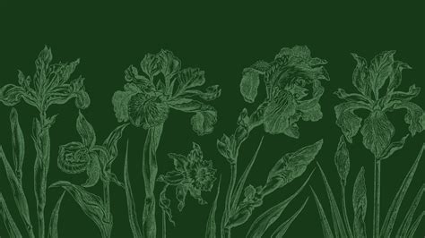 Laptop Wallpaper Artofit