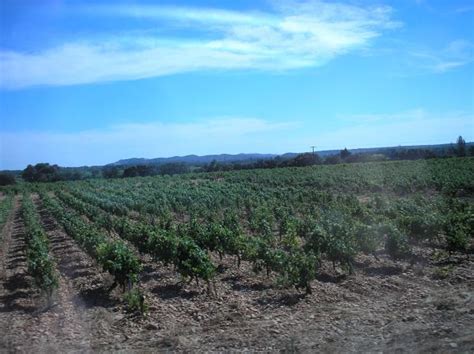 Большое путешествие по южным провинциям Франции