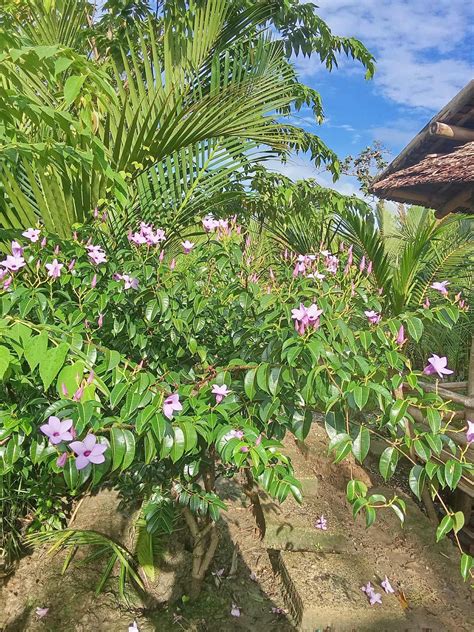 Camp Lisboc Camp Lisboc Added A New Photo