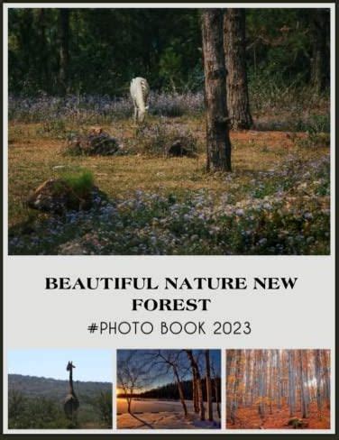 Beautiful Nature New Forest Photography Book 2023 Photo Book Of