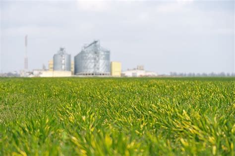 곡물 엘리베이터 농업 구역의 금속 곡물 엘리베이터 수확을 위한 농업 저장 녹색 자연 배경에 곡물 엘리베이터 농업 공장의 외관 0명에 대한 스톡 사진 및 기타 이미지 Istock