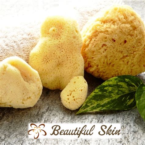 뷰티풀스킨 뷰티풀스킨 천연해면스펀지 그리스지중해산 최상급파인실크 위시버킷