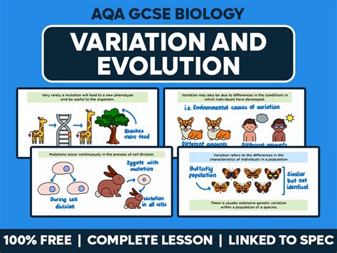 Gcse Aqa Biology Complete Lesson Variation And Evolution Teaching