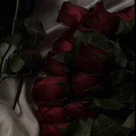 Grumpy X Sunshine Pt 1 Wiki Dating Amino