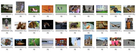coco data set common objects in context 다운로드와 구성요소 및 시각화 코드
