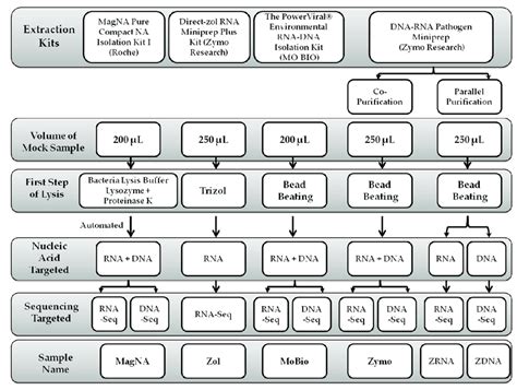 schematic presentation of the extraction protocols used for comparison