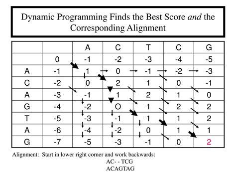 Find The Best Alignment For These Two Sequences Ppt Download