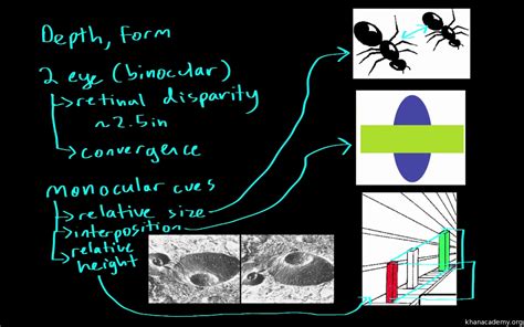 I Like Cue Understanding The Cues To Depth Perception