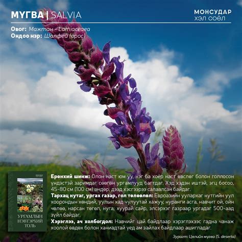 МОНСУДАР хэвлэлийн газар Added МОНСУДАР хэвлэлийн газар