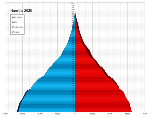 Understanding Namibias Population Pyramid Trends And Challenges Namibia Today