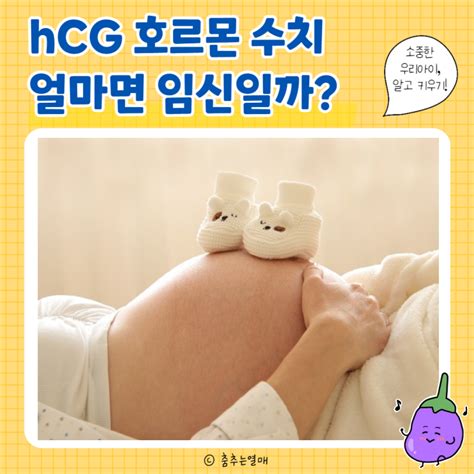 Hcg 수치 더블링 임신 피검사와 임테기 사용시기 네이버 블로그