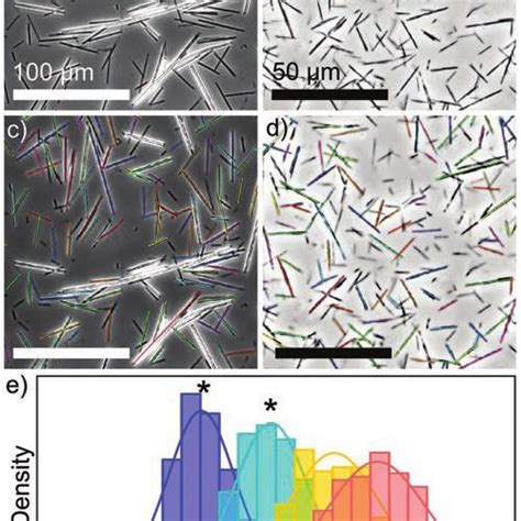 Examples Of µnd Length Determination Using The Linear Hough Download Scientific Diagram