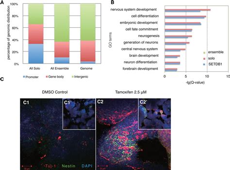 Setdb1 Modulates Prc2 Activity At Developmental Genes Independently Of