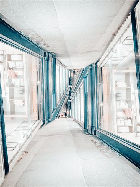 Introduction To Image Augmentations Using The Fastai Library Bitcoin