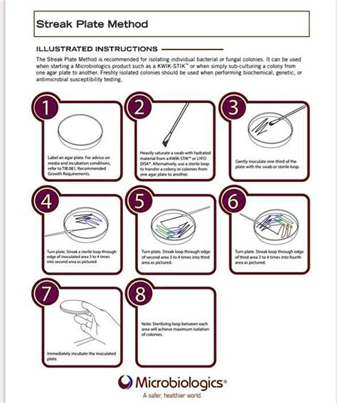 Solved Streak Plate Method Illustratedinstructions The Streak Plate