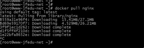 基于docker构建nginx Web平台docker封装nginxweb Csdn博客