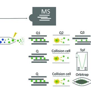 Schematic Representation Of The LC MS MS Workflow Workflow Used For Download Scientific