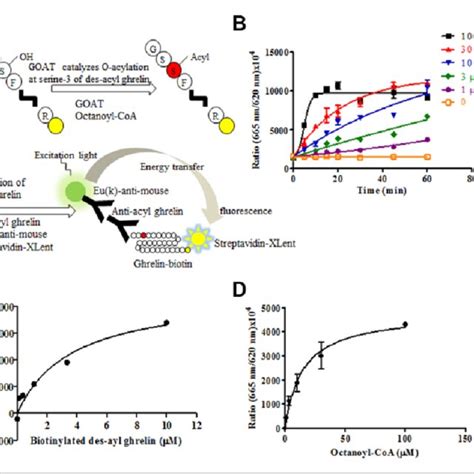 Evaluation Of Human Goat Microsomal Activity A Principle Of The Htrf Download Scientific