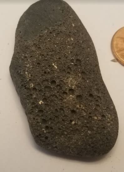 How Do I Tell If Something Is Rock Or Bone Fossil ID The Fossil Forum
