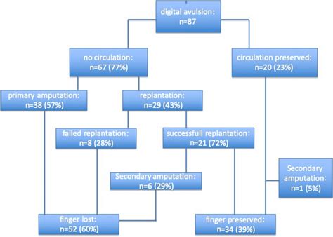 Flowchart Digital Avulsion Injuries Download Scientific Diagram
