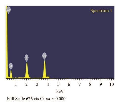 High Magnification Sem Micrographs Of A Neat Pla B Pla 5 Wt Download Scientific Diagram