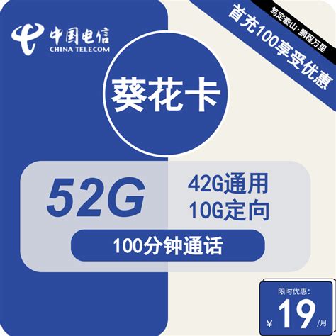 电信葵花卡19元月包42g通用流量10g定向流量100分钟通话（2年套餐） 90号卡