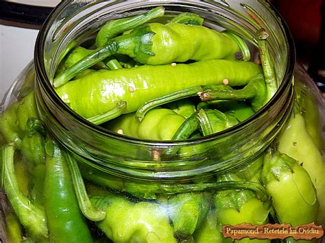 Ardei Iuti In Otet Pentru Iarna Ce Va Sa Vie