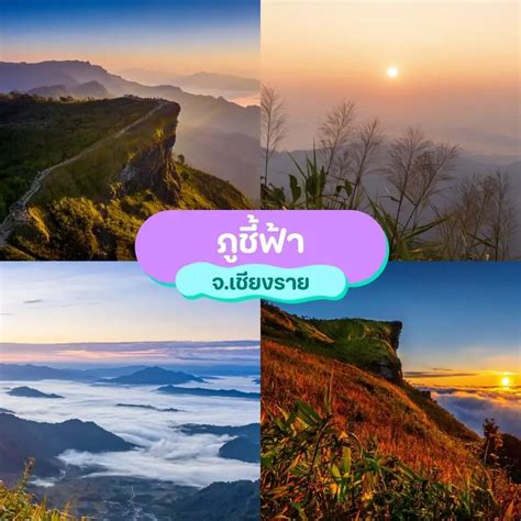 🌧️แนะนำ 8 ที่เที่ยวภาคเหนือหน้าฝน☔️เตรียมแพลนเปิดทริปไปฮีลใจกัน💓 แกลเลอรีที่โพสต์โดย Sale Here