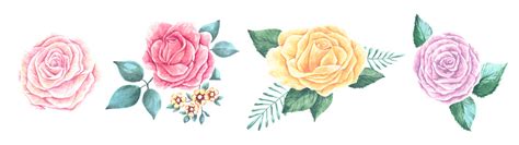 잎과 싹이 빨간색 분홍색과 부드러운 복숭아 개화 장미의 아름 다운 부케 꽃의 집합입니다 꽃 디자인 웨딩 요소 분기 녹지 나뭇잎입니다 수채화에서 벡터 일러스트 레이 션 개체