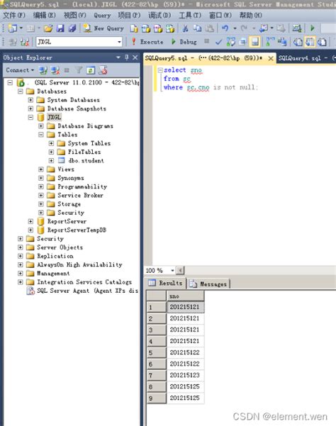 Sqlserver查询分析器实战：全面掌握数据查询与操作 Csdn博客