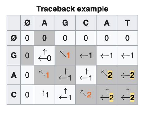 Dynamic Programming Lcs Traceback Ralgorithms