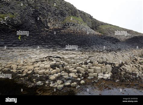Basalt Columns On The Isle Of Staffa Inner Hebrides Scotland Uk
