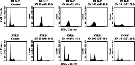 Cell Cycle Analysis Of Download Scientific Diagram