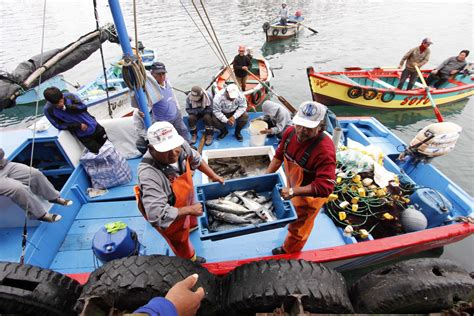 Pesca Artesanal Ocho Nuevos Desembarcaderos Beneficiarán A 36 Mil