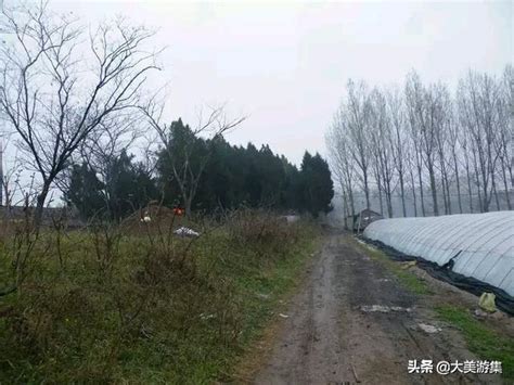 宿州蘄縣古城遺址 每日頭條