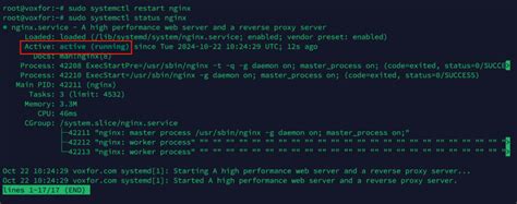 Host A Website On VPS Without Control Panel Using Nginx