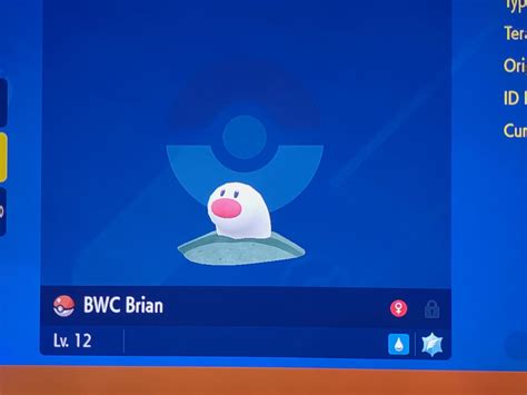 I Think Theres Something Wrong With My Diglett Rpokemonscarletviolet